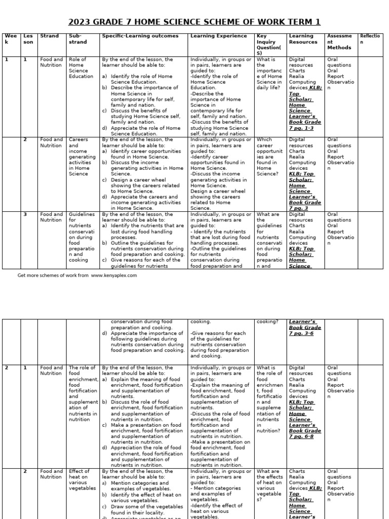 Grade 7 Home Science Schemes of Work Term 1 | PDF | Kitchen Utensil ...