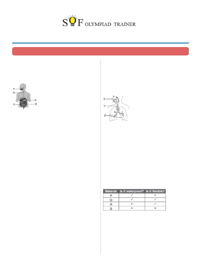 Nso Level 2 Class 3 2023 2024 Pdf Soil Water