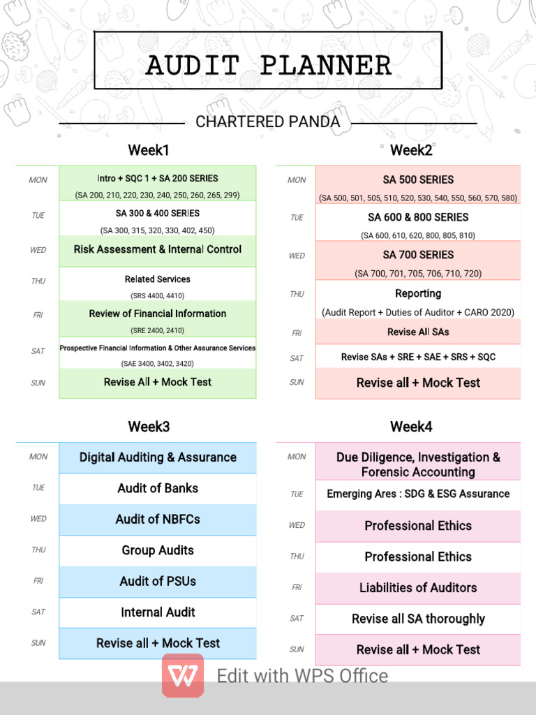 Audit Planner | PDF | Audit | Corporate Jargon