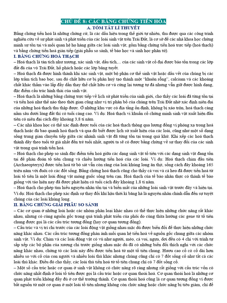 Bang Chung Tien Hoa - đã Chỉnh Sửa | PDF