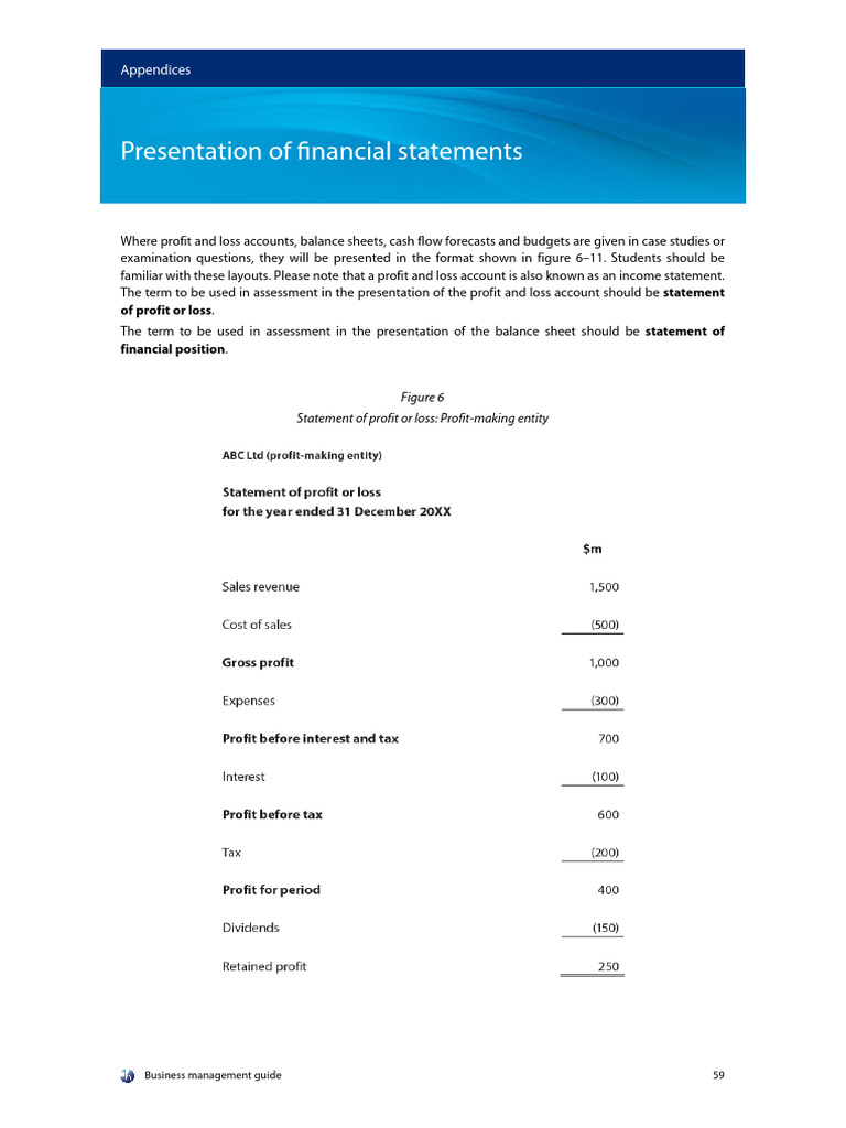 IB Presentation of Financial Statements | PDF