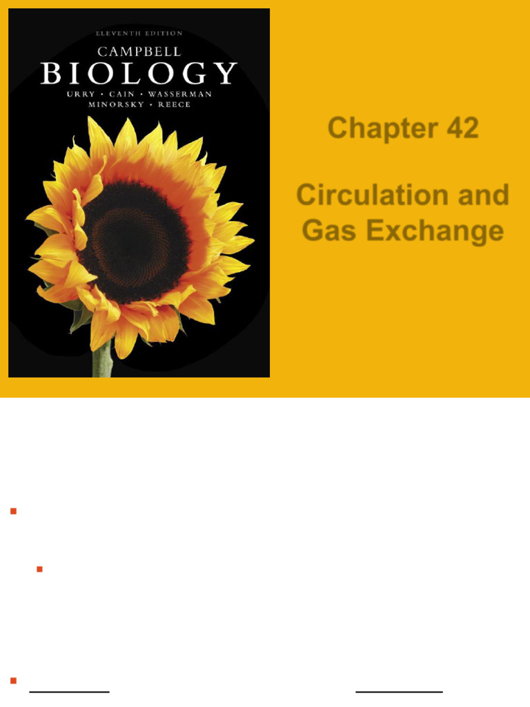 42 Circulation and Gas Exchange (1) (1) | PDF | Lymph | Diastole