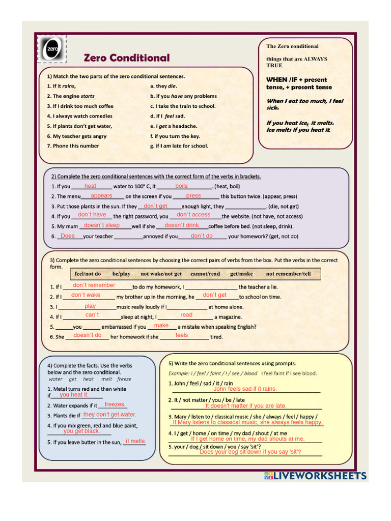 Understanding Conditional Statements | PDF