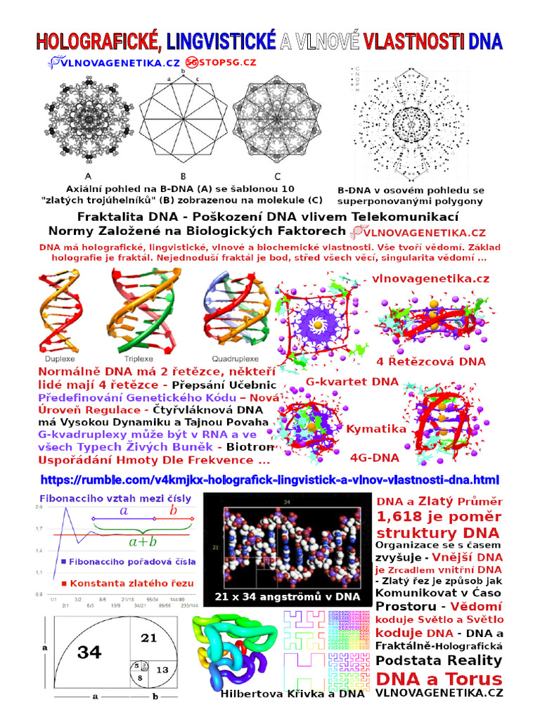 020-PRINTER-VLNOVA GENETIKA - Holograficke, Lingvisticke A Vlnove ...