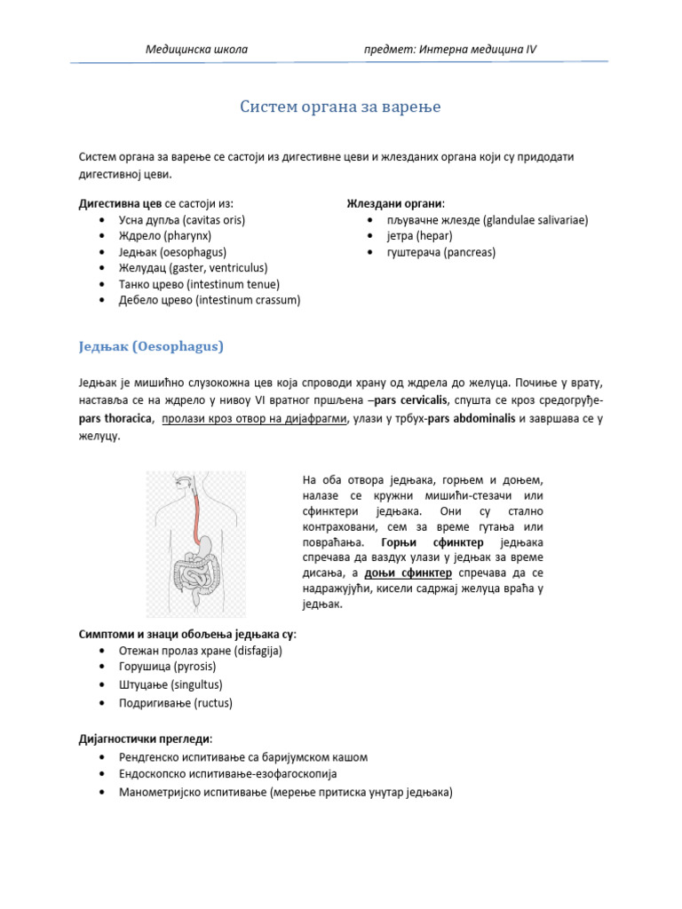 20210120_Jednjak (3) (1) | PDF