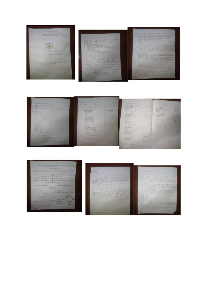 LP Anak Farhan Dimas Nugraha | PDF