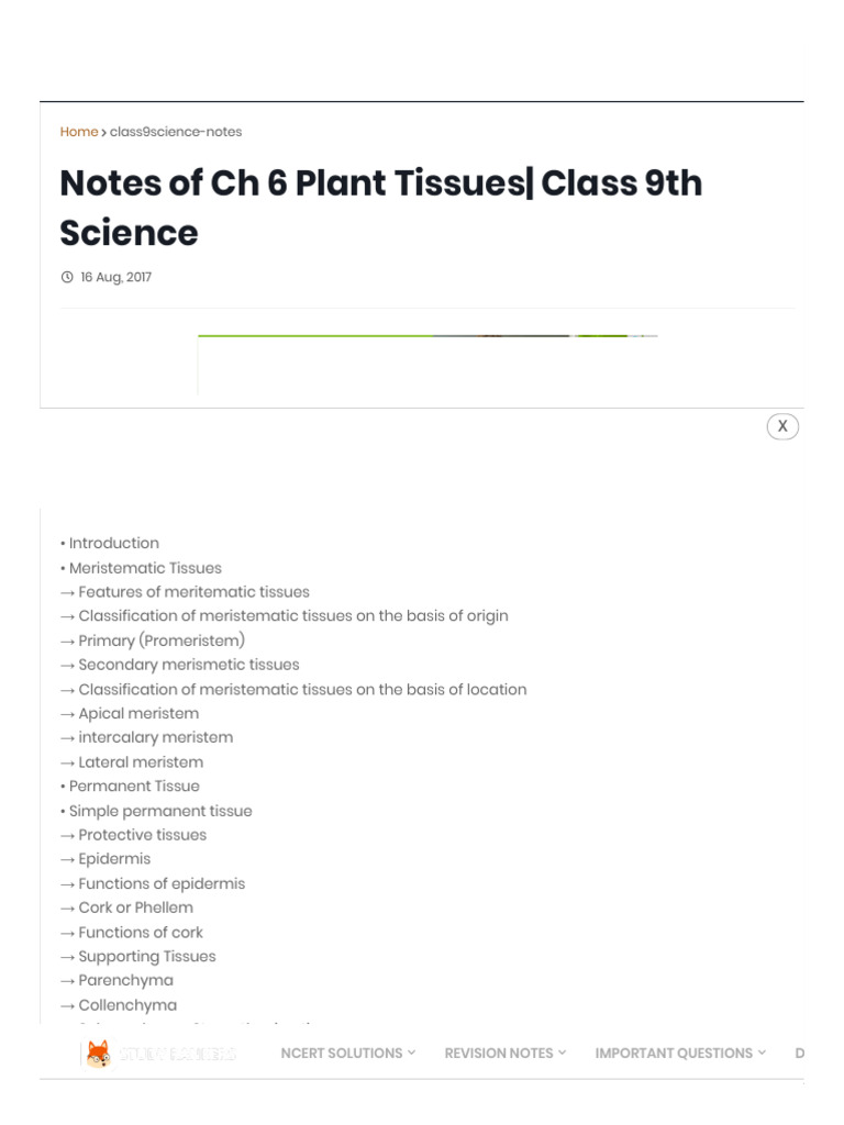 Notes of CH 6 Plant Tissues - Class 9th Science | PDF | Tissue (Biology ...