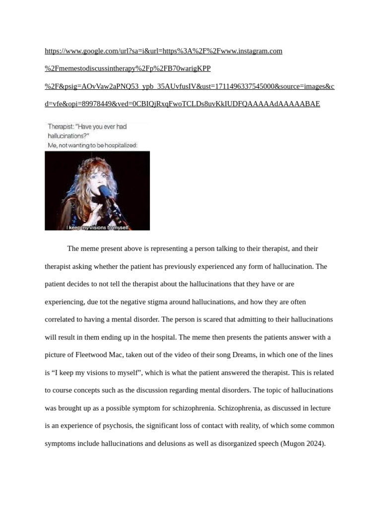 Meme Reflection 2 Final | PDF | Hallucination | Psychosis