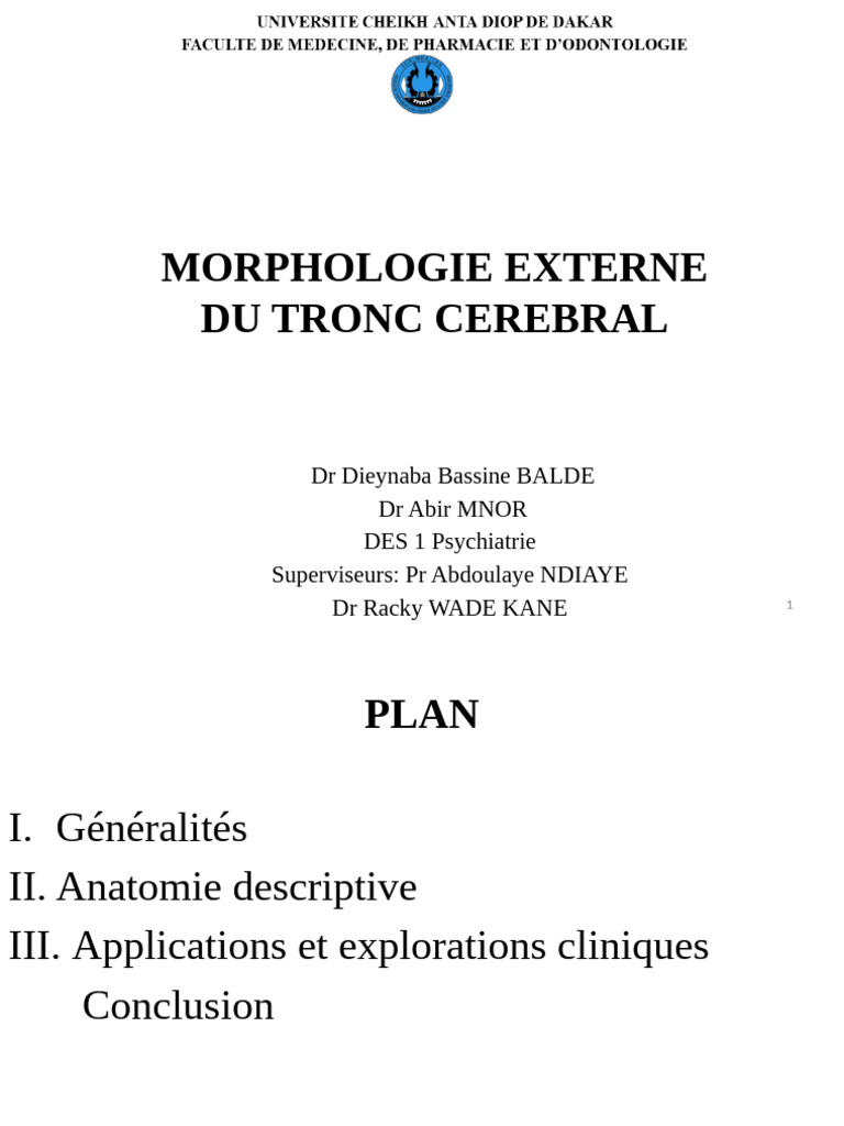 Morphologie du Tronc Cérébral | PDF | Tronc cérébral | Système nerveux ...