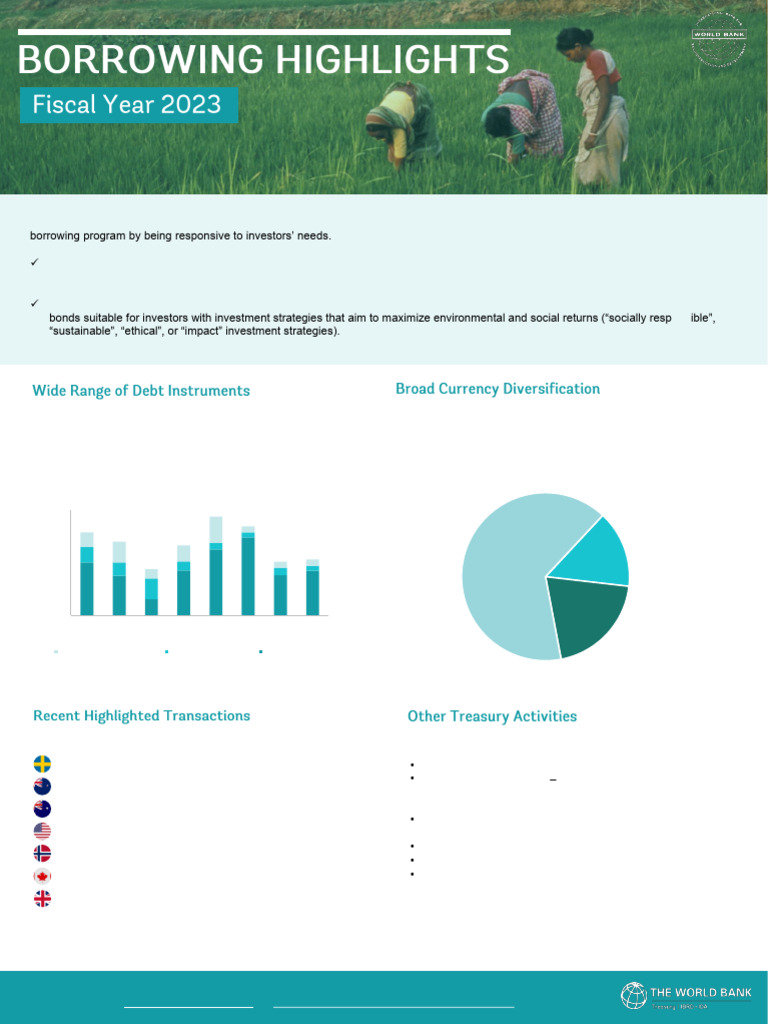 Borrowing Highlights Updates | PDF | Bonds (Finance) | World Bank