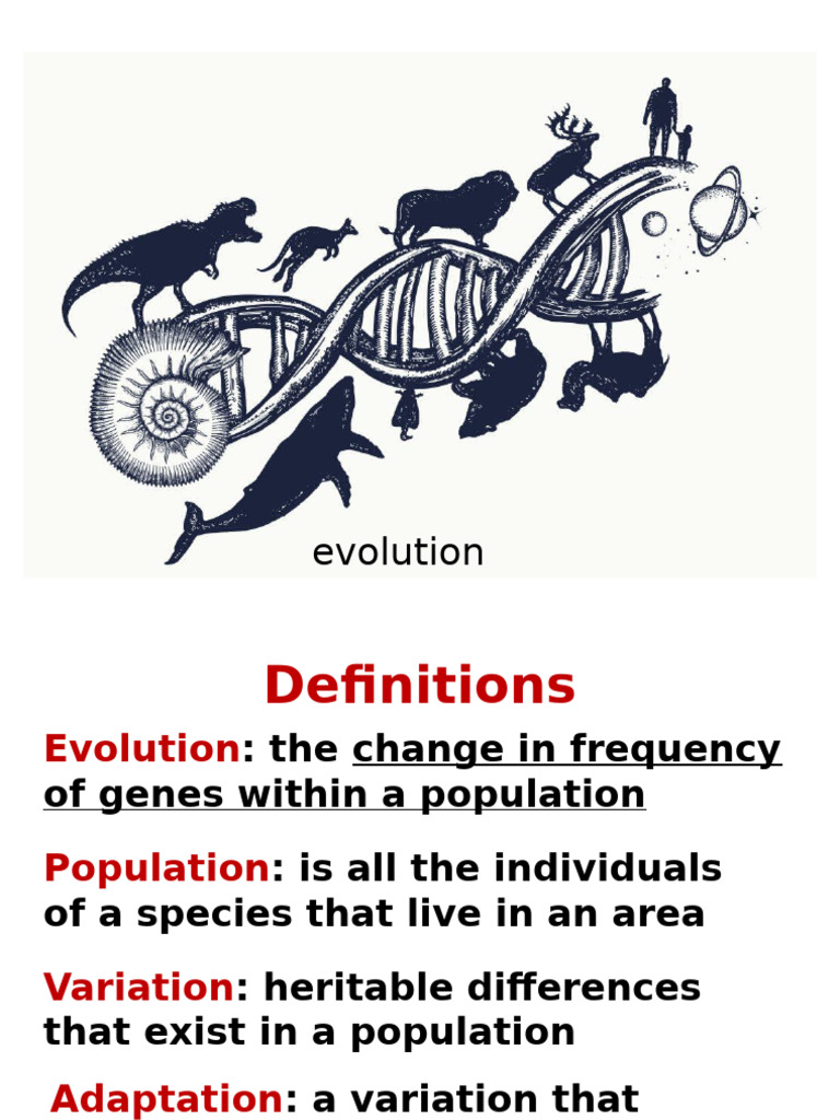 Understanding Evolution and Antibiotic Resistance | PDF