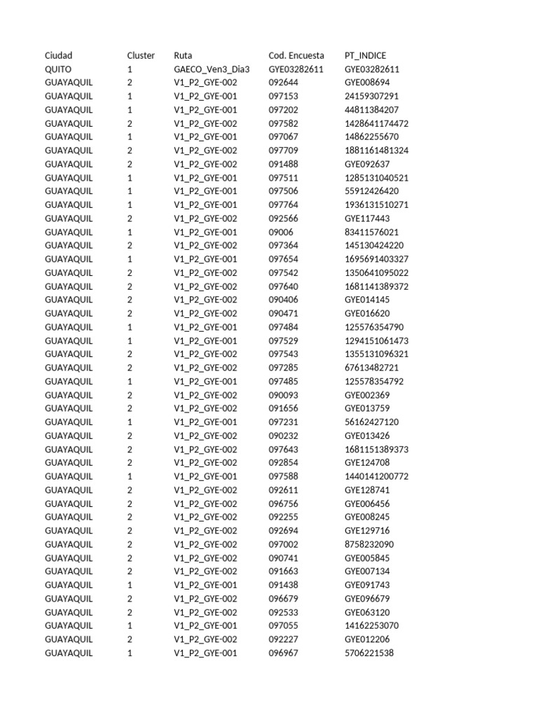 Reporte Nirsa 202501 | PDF