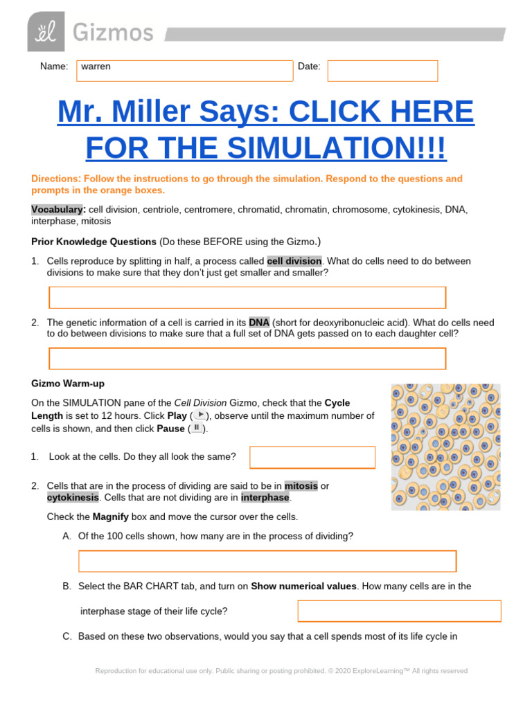Cell Division Simulation Guide | PDF | Mitosis | Chromosome