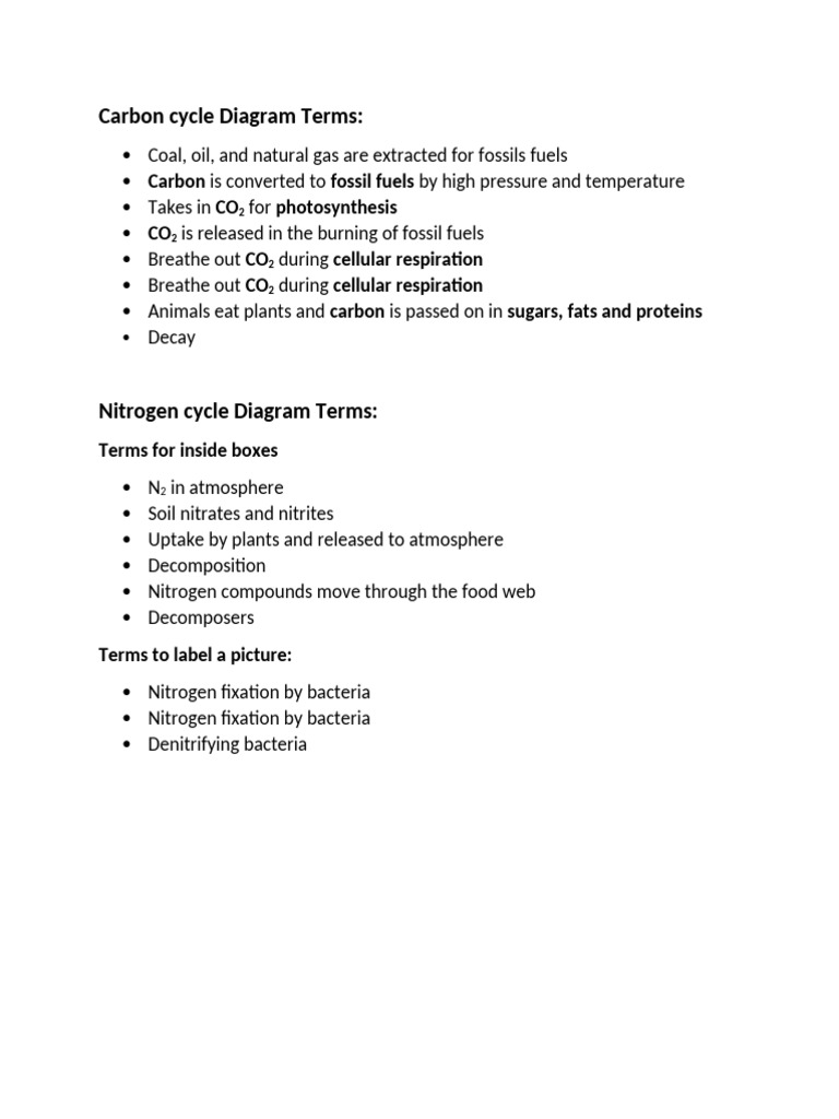 Carbon and Nitrogen Cycle Diagram Terms | PDF