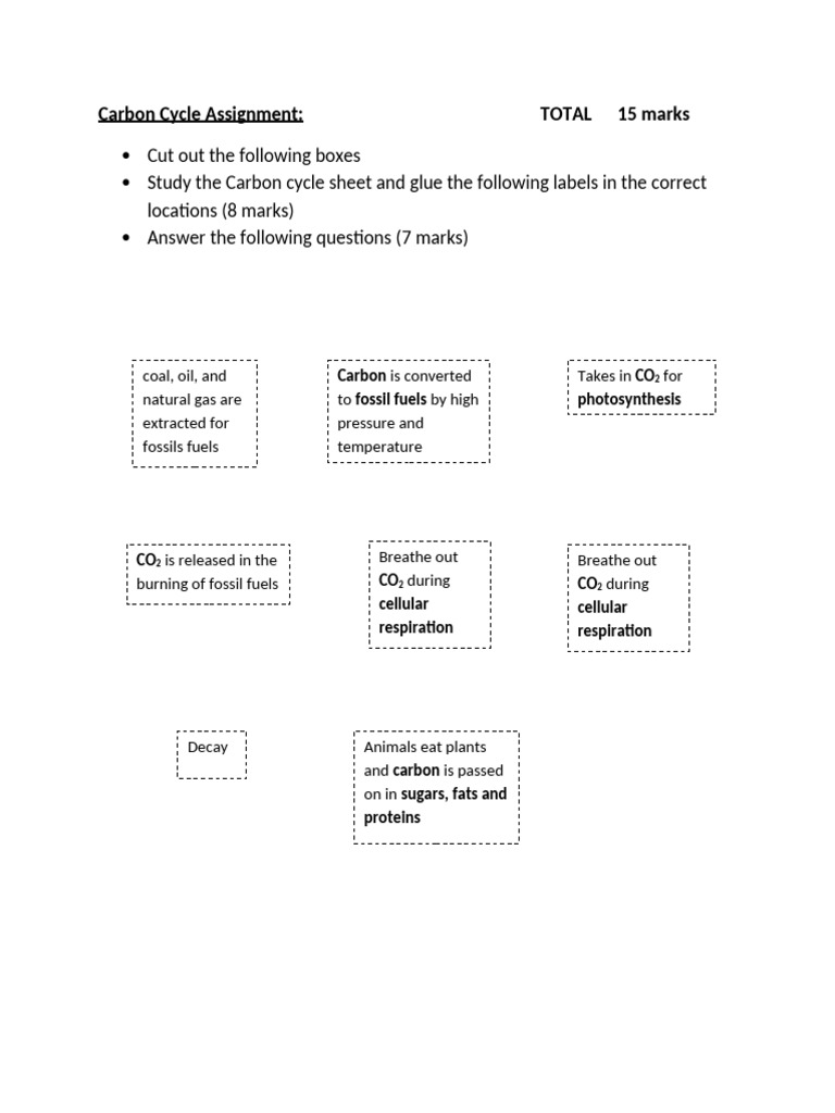 Understanding the Carbon Cycle Assignment | PDF