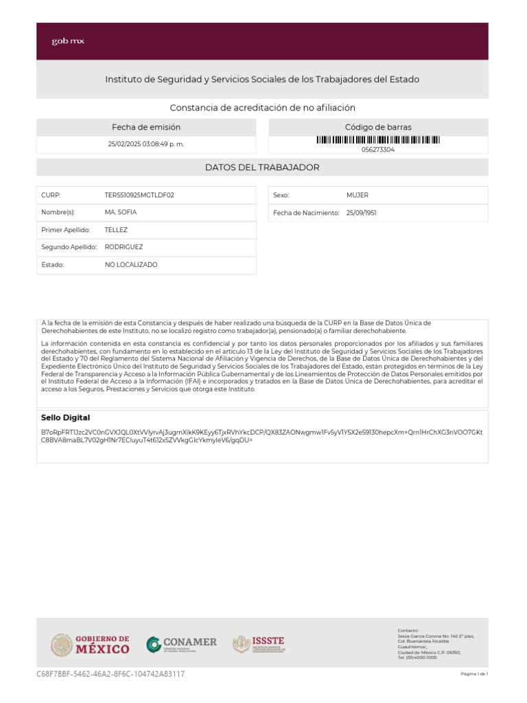 Formato de Imss | PDF