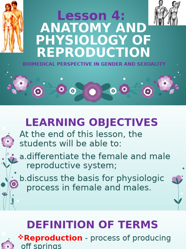 Lesson-4-ANATOMY-AND-PHYSIOLOGY-OF-REPRODUCTION | PDF | Menstrual Cycle ...