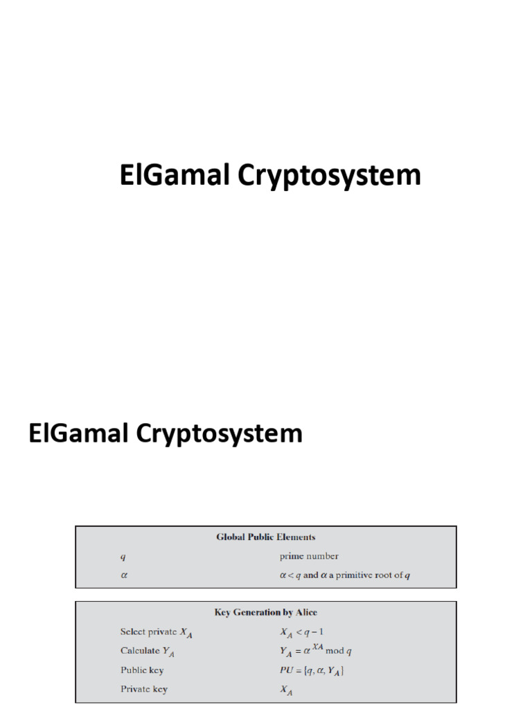 22 ElGamal 25 01 2025 | PDF