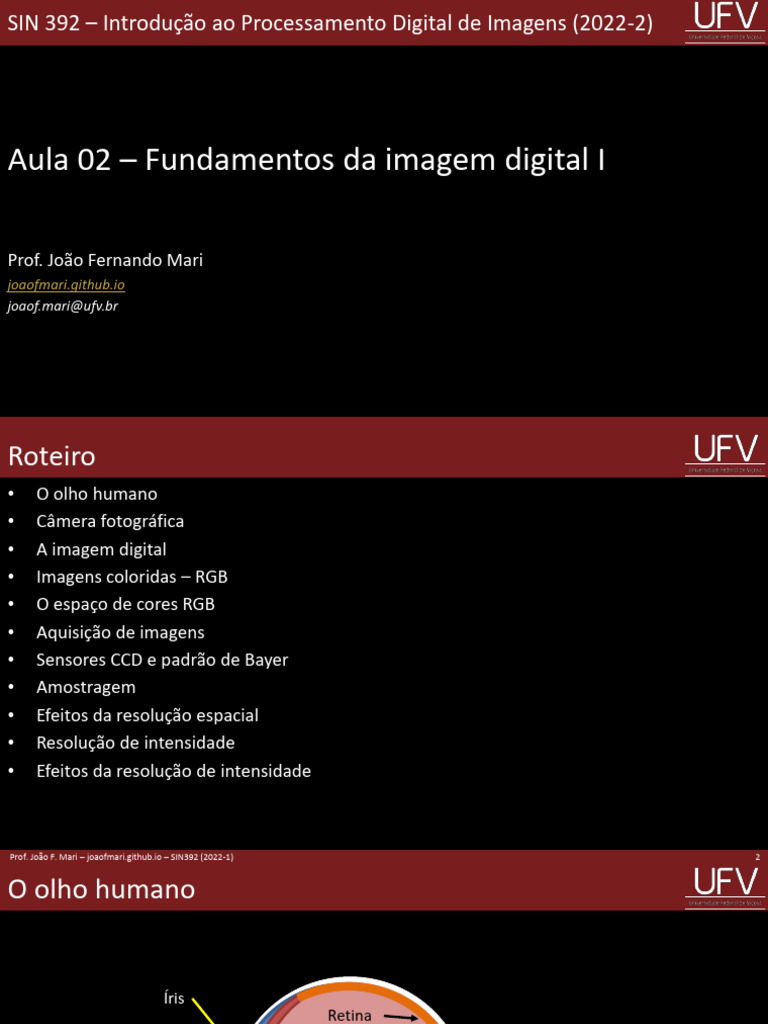 Aula02.FundamentosDaImagemDigital. (2022 1) | PDF | Olho | Olho humano