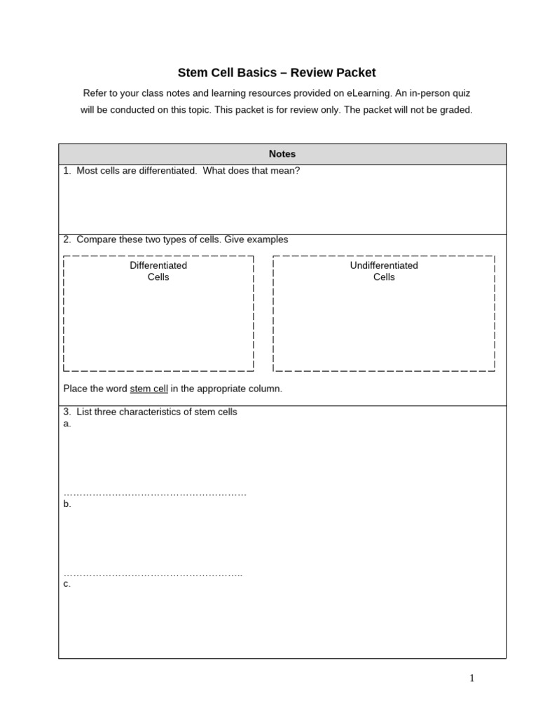 Stem Cells Review Packet | PDF | Stem Cell | Cell Potency