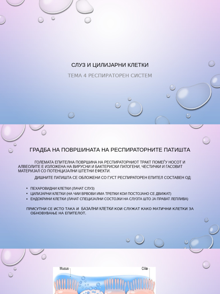 Cilijarni Kletki Vo Respiratornite Patista | PDF