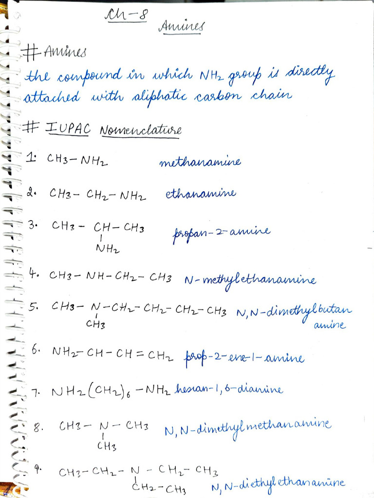 Amines Notes 2024-25-1 | PDF