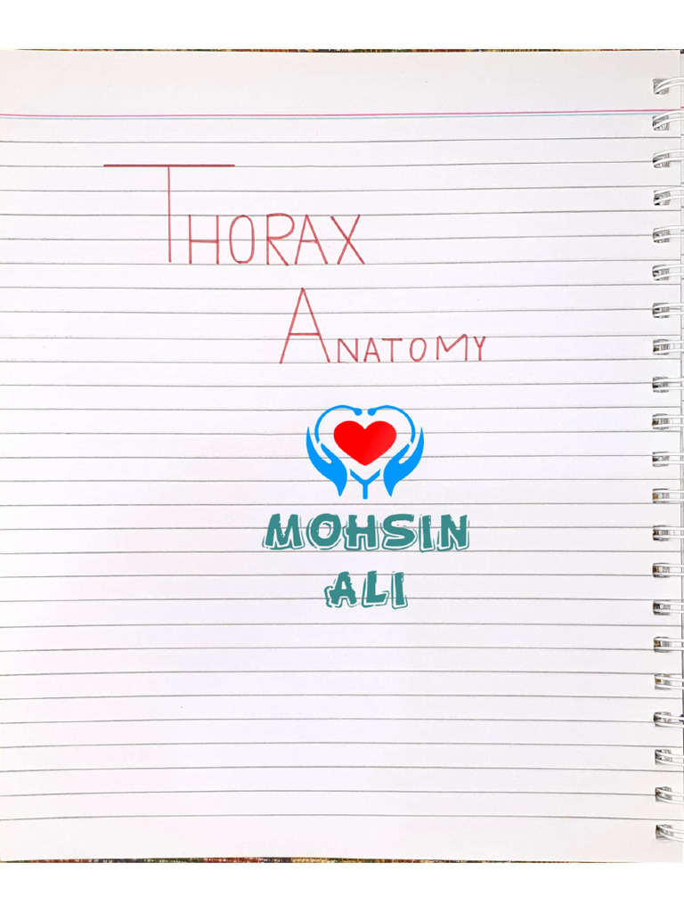 Thorax Anatomy DIMS - 241023 - 211251 | PDF