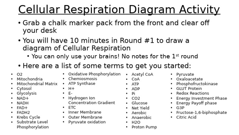 Cellular Respiration Diagram Drawing Activity | PDF
