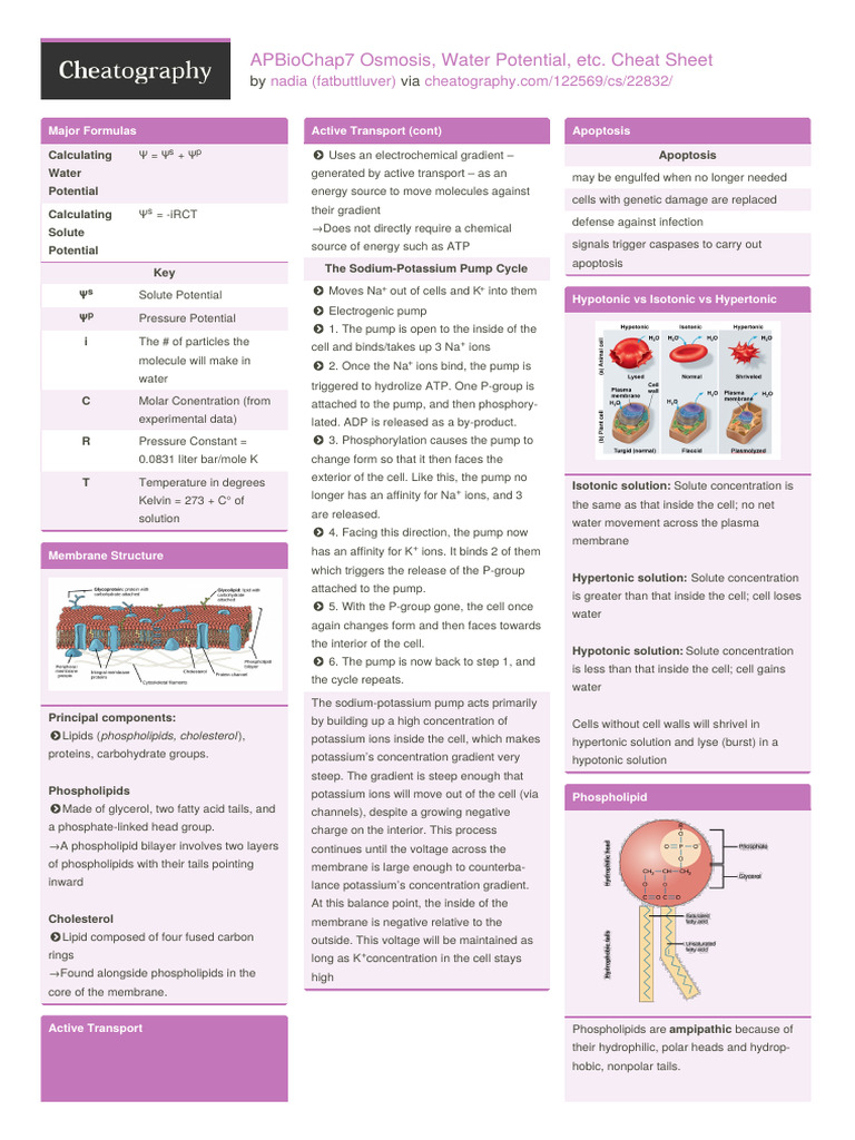 Ap Bio Chap7 Osmosis Water Potential | PDF | Cell Membrane | Cell (Biology)