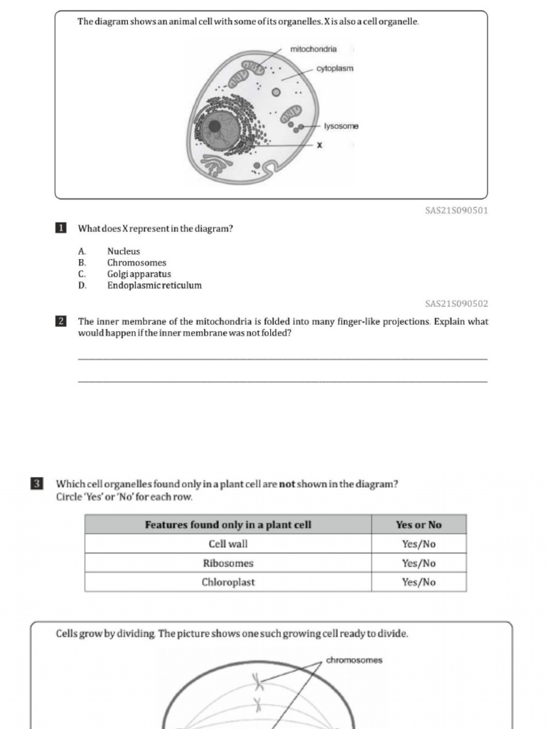 Biology Worksheet 9th Class | PDF