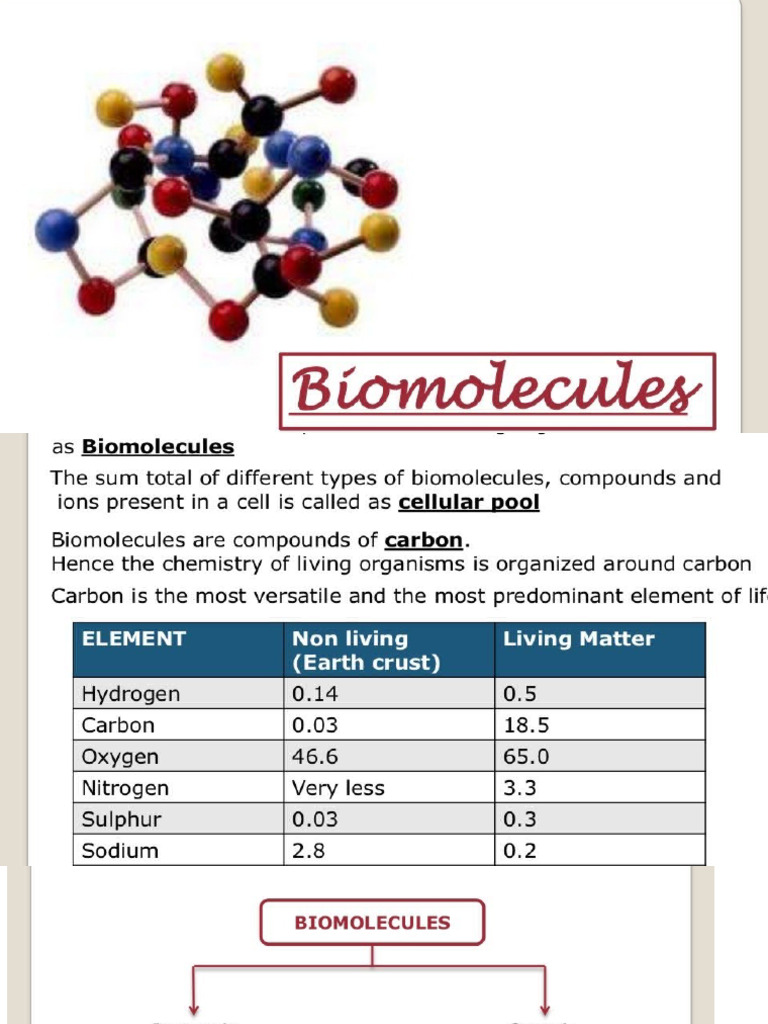 Chapter 14 Biomolecules Notes | PDF