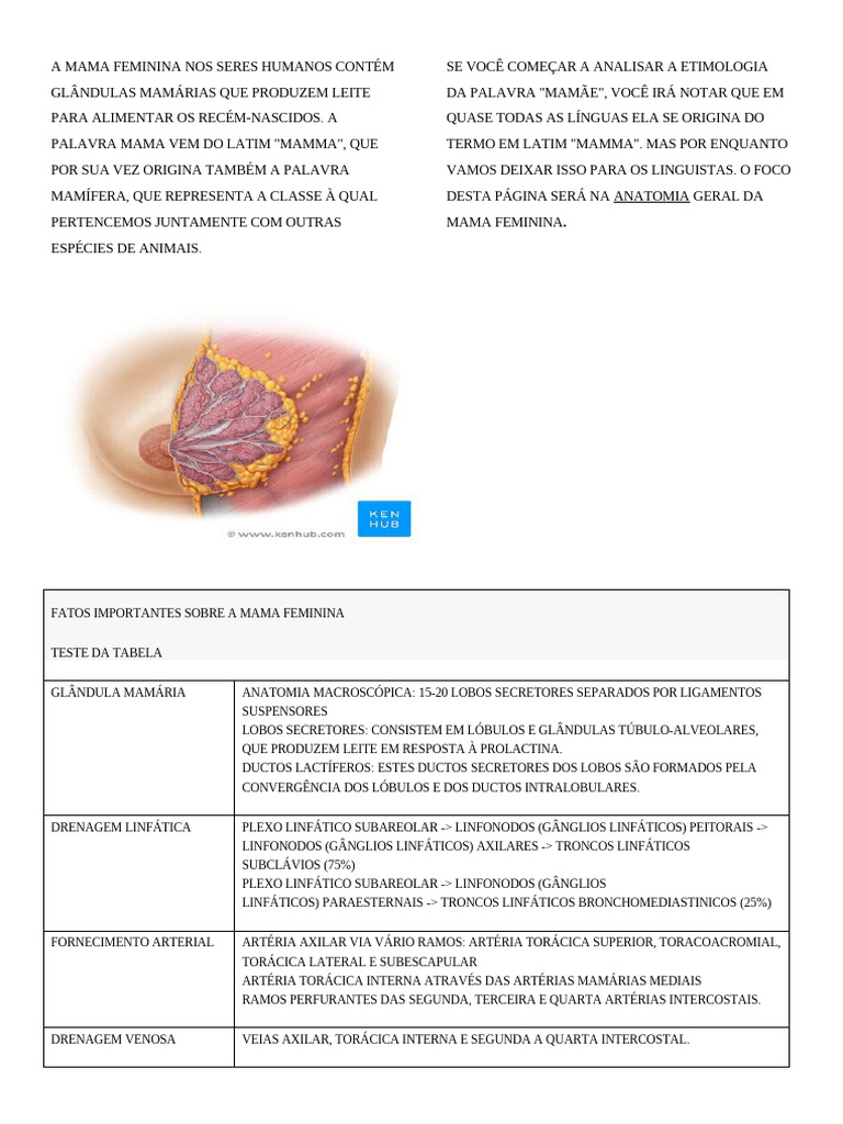 Anatomia Da Mama Basico | PDF | Seio | Anatomia humana