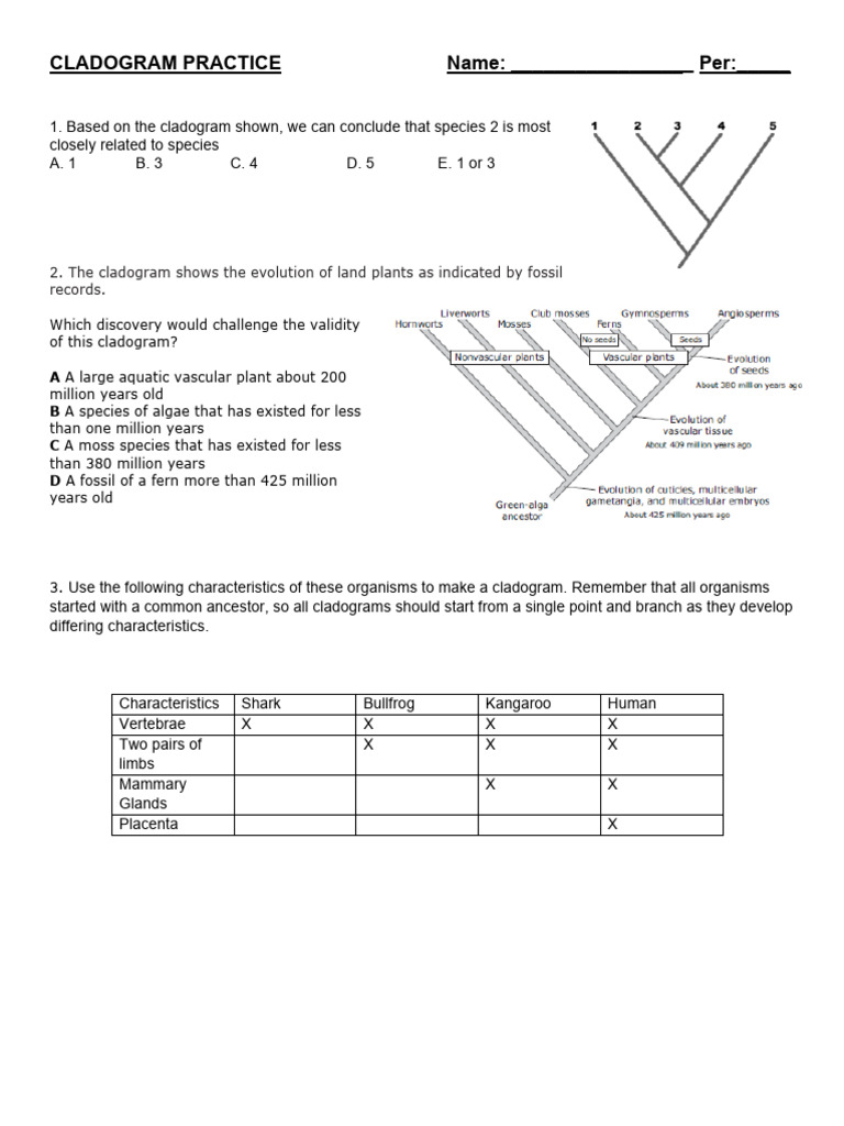 Cladogram Practice Problems | PDF