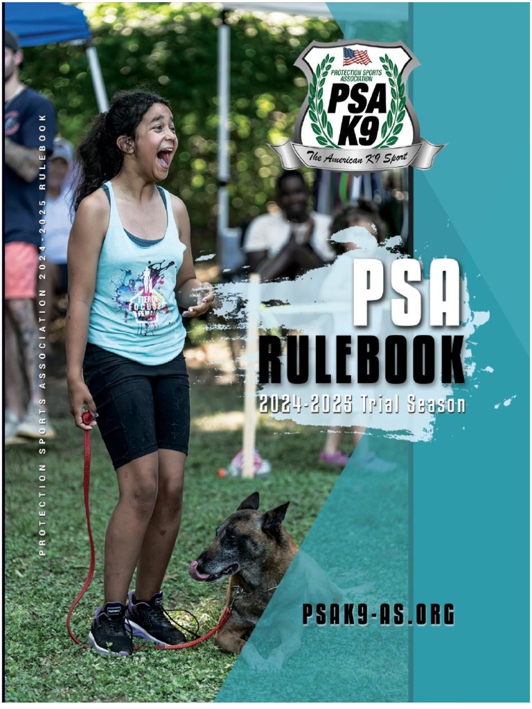 PSA Rulebook | PDF