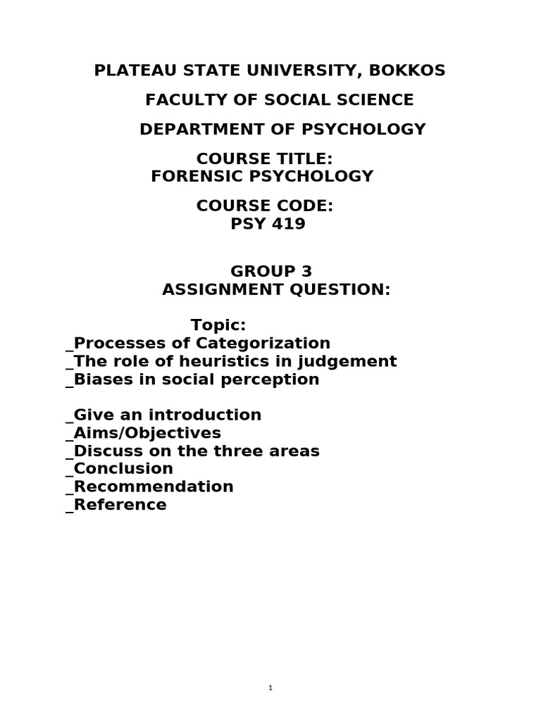 SOCIAL CATEGORIZATION ASSIGNMENT Original Final Version | PDF | Heuristic | Stereotypes