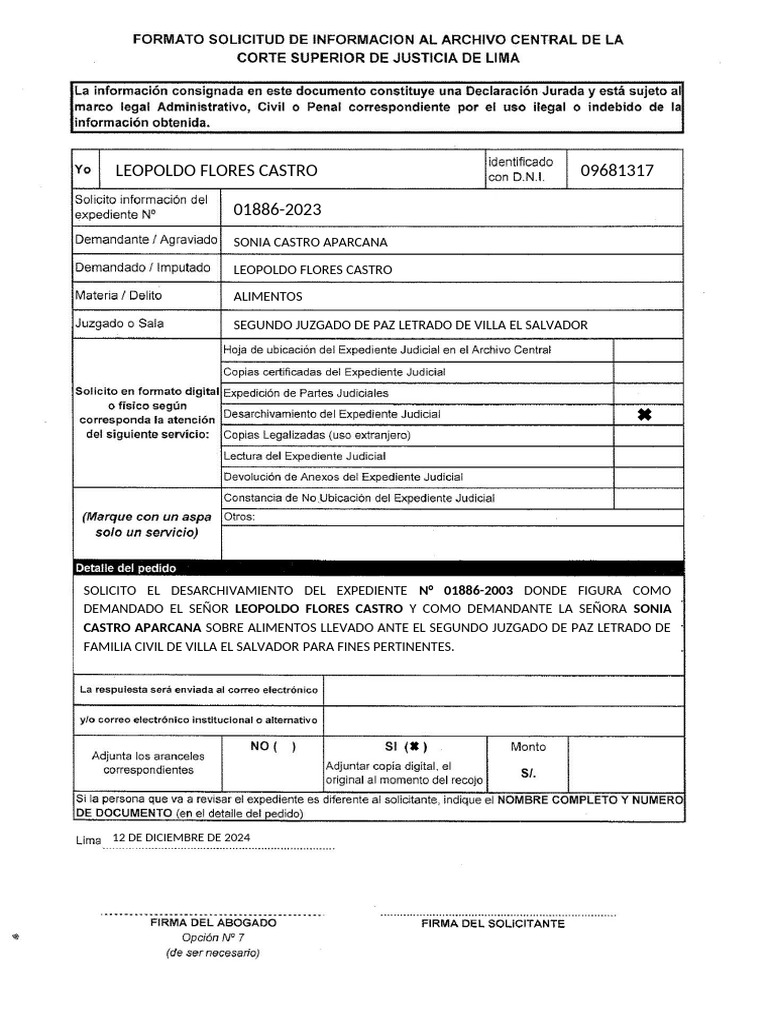 FORMATO 2024 | PDF