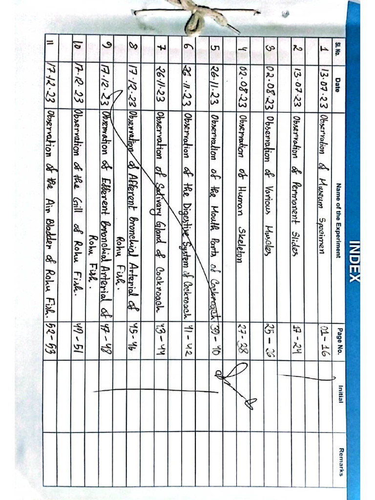 Biology Practical 2nd Paper HSC | PDF