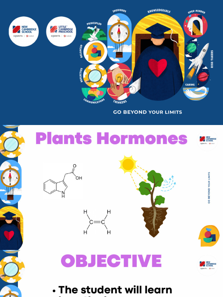Understanding Plant Hormones: Auxins & Ethylene | PDF