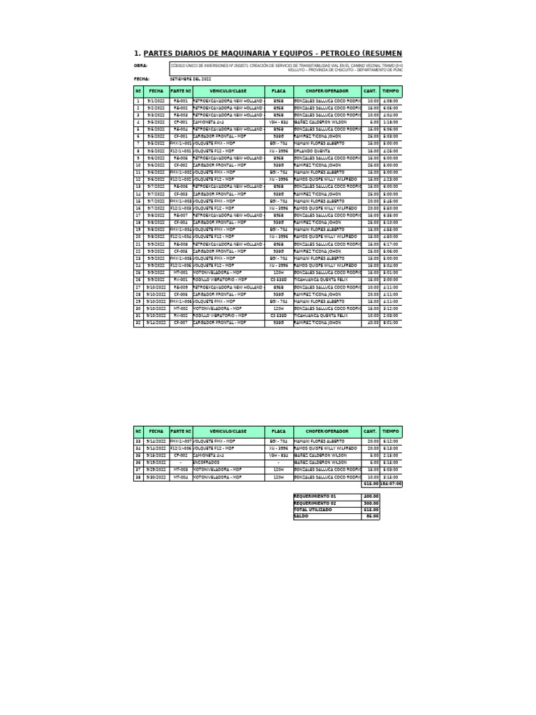 Formato - Partes Diarios | PDF