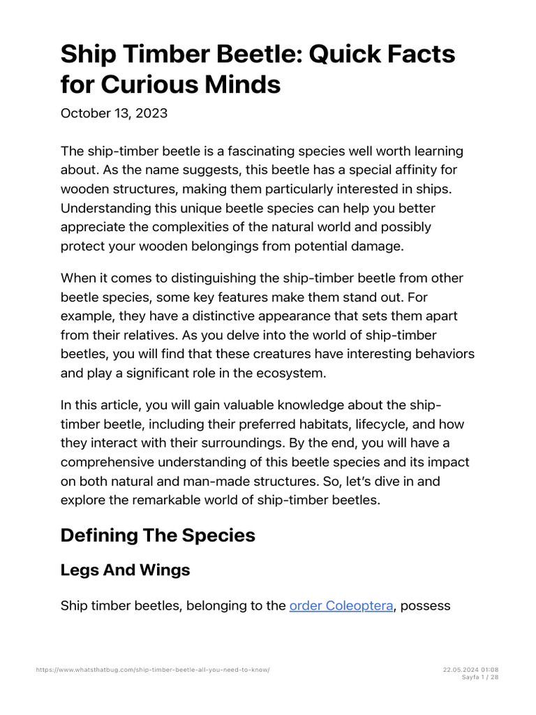 Ship Timber Beetle - Quick Facts For Curious Minds - What's That Bug ...