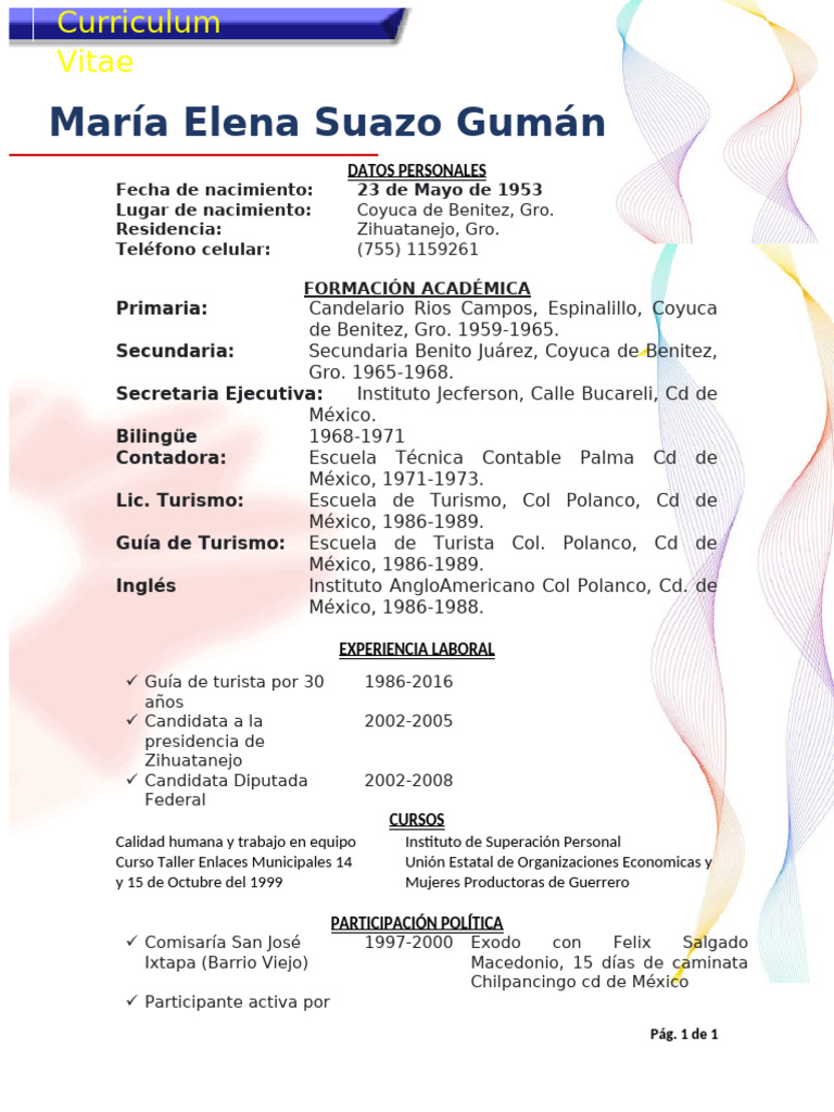 Curriculum Vitae de María Elena Suazo | PDF
