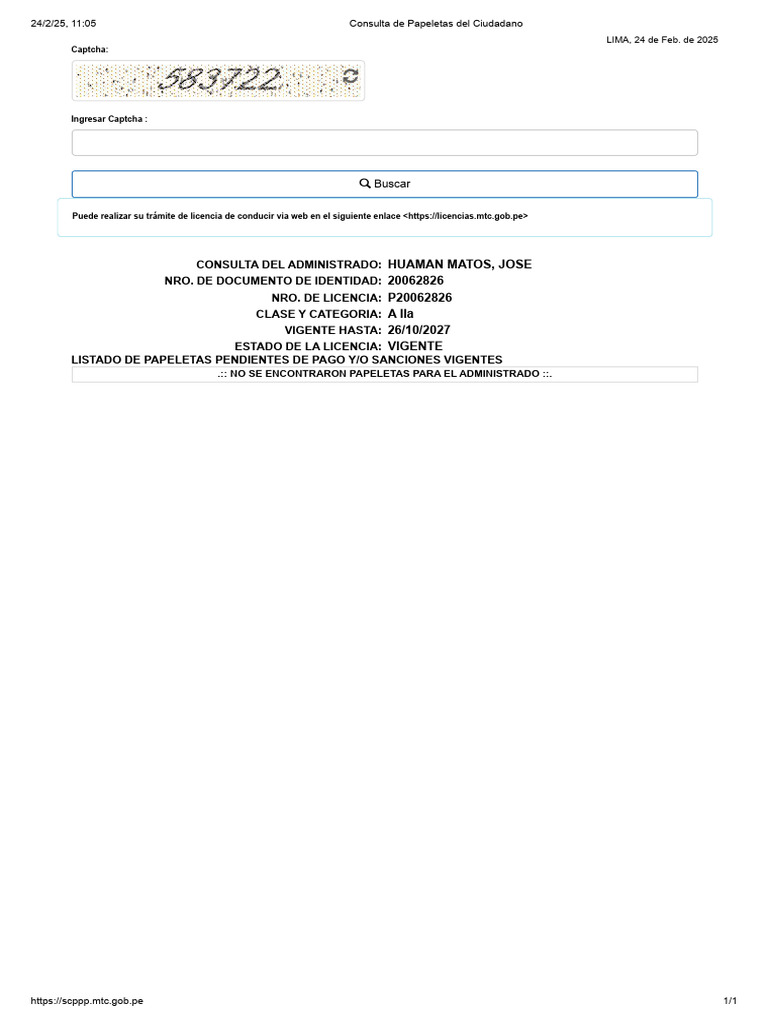 Consulta de Papeletas del Ciudadano (1) | PDF