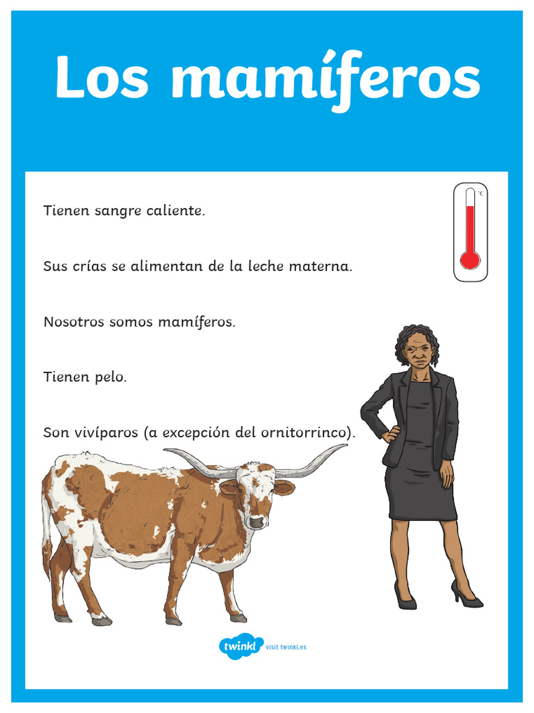 Pósters Los grupos de animales | PDF