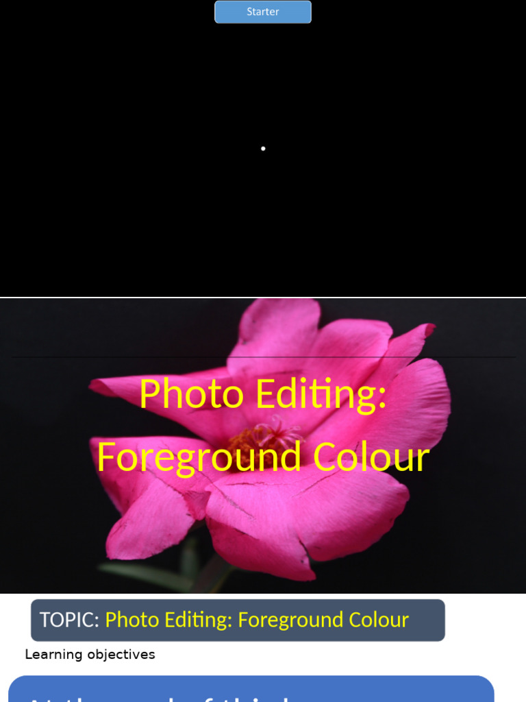 Background and Foreground Colours | PDF