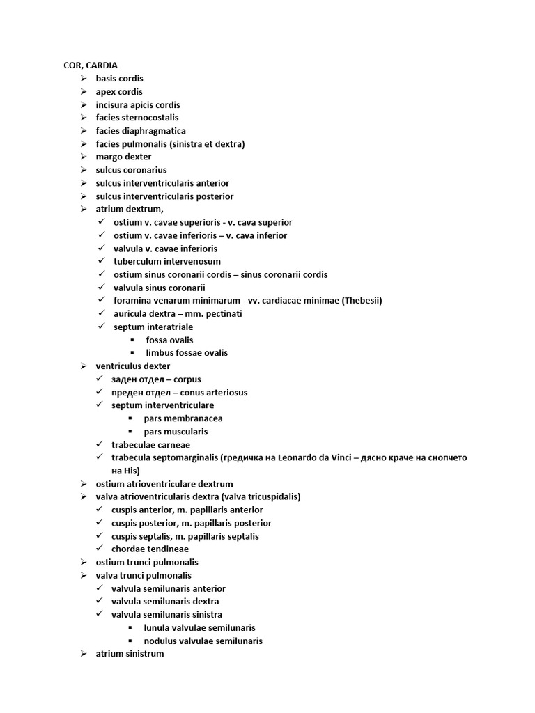 1-COR-check List | PDF