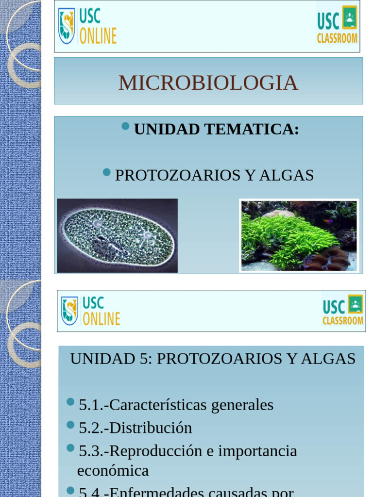Presentación Del Profesor Unidad 5...................... | PDF | Protozoos | Algas