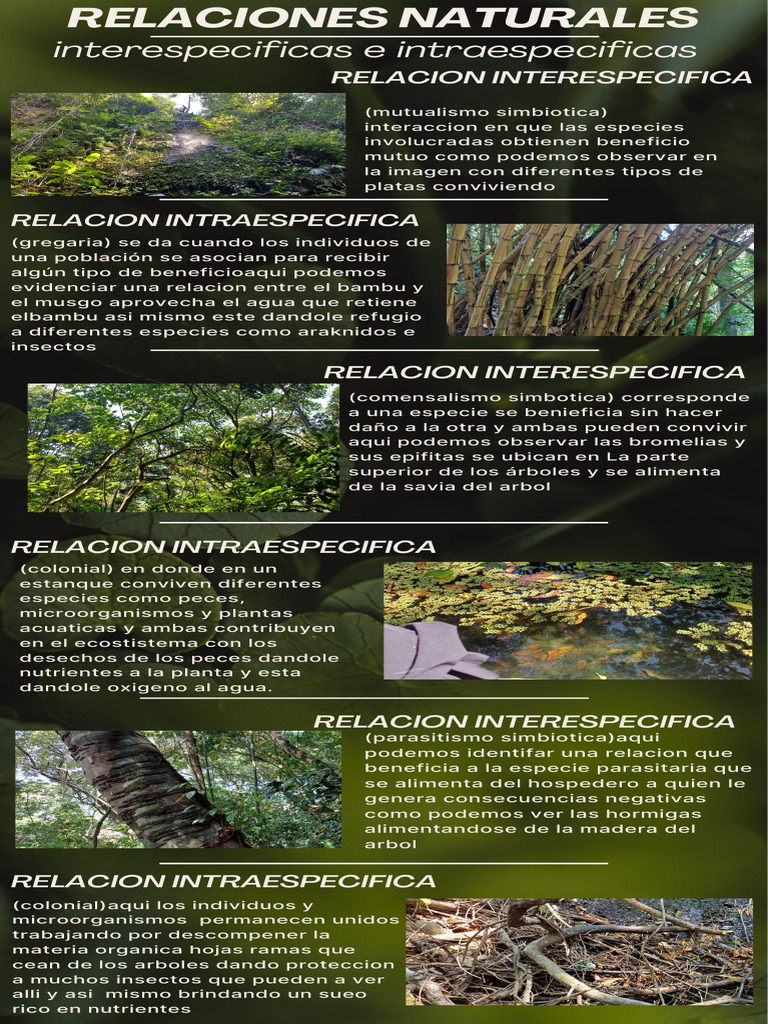 Relaciones Simbióticas en Ecosistemas | PDF