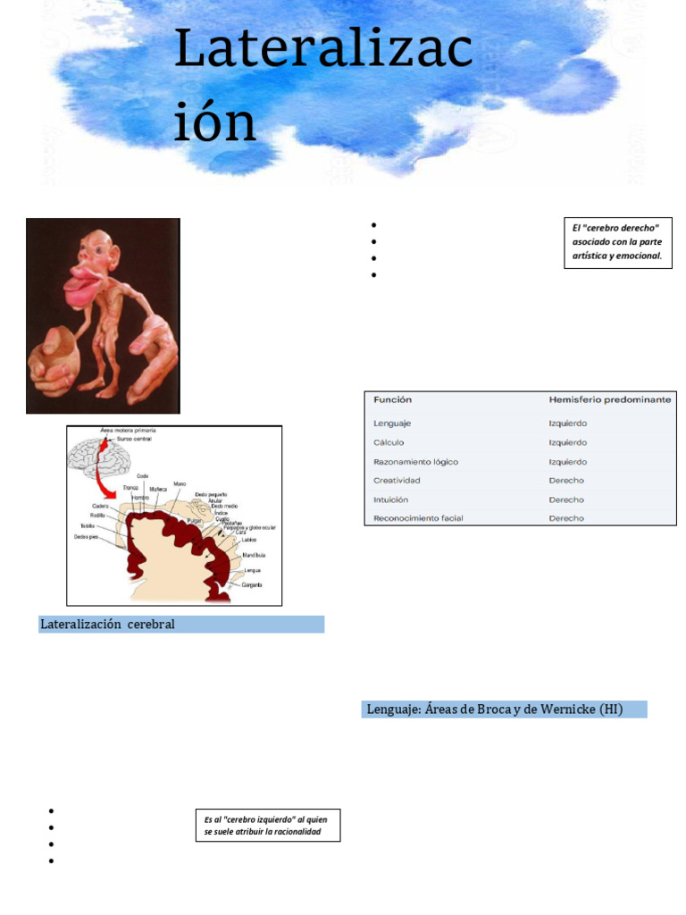 Lateralizacion Apunte | PDF | Cerebro | Sistema límbico