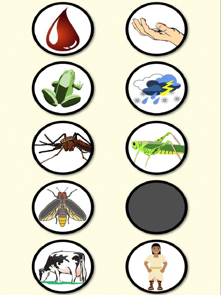 Sem Tiì Tulo 2 | PDF