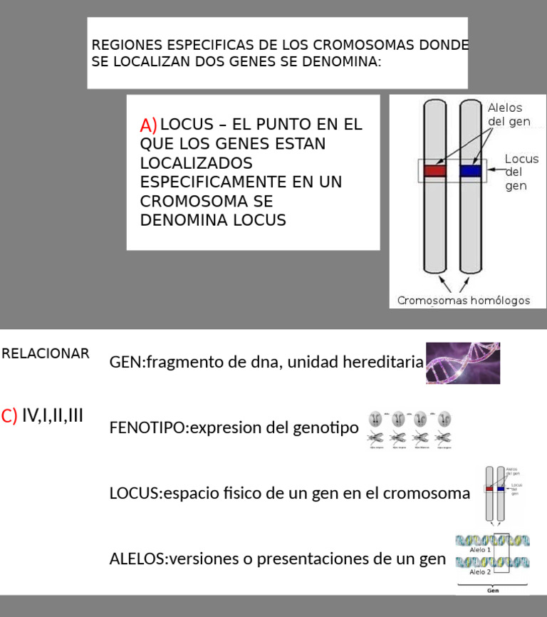 Definición de Locus y Genética Básica | PDF